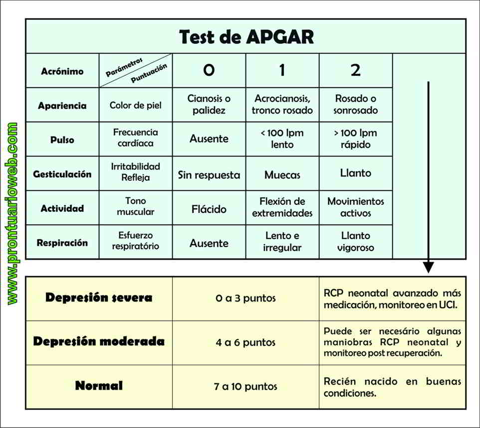 APGAR ⋆ PRONTUARIOWEB APGAR ⋆ PRONTUARIOWEB